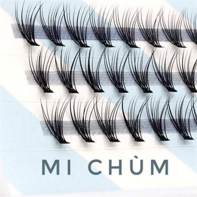 NỐI MI VOLUME VÀ MI CHÙM - CHÚNG CÓ GÌ KHÁC BIỆT? WORLD NAIL SCHOOL